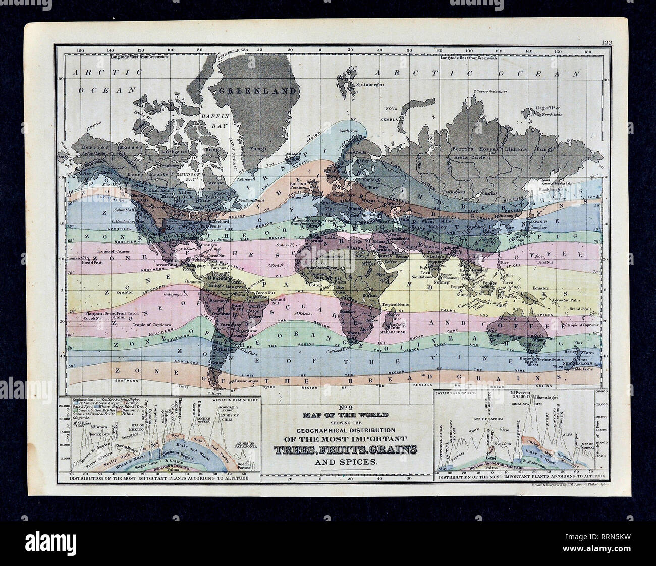 1868 Mitchell Botanical World Map showing Geographic Distribution of ...