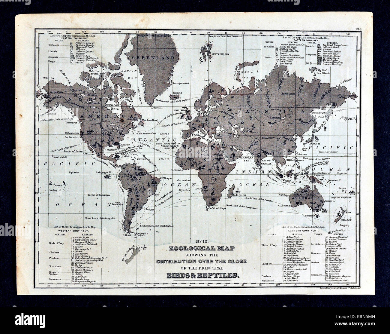 Mercator globe map hi-res stock photography and images - Alamy