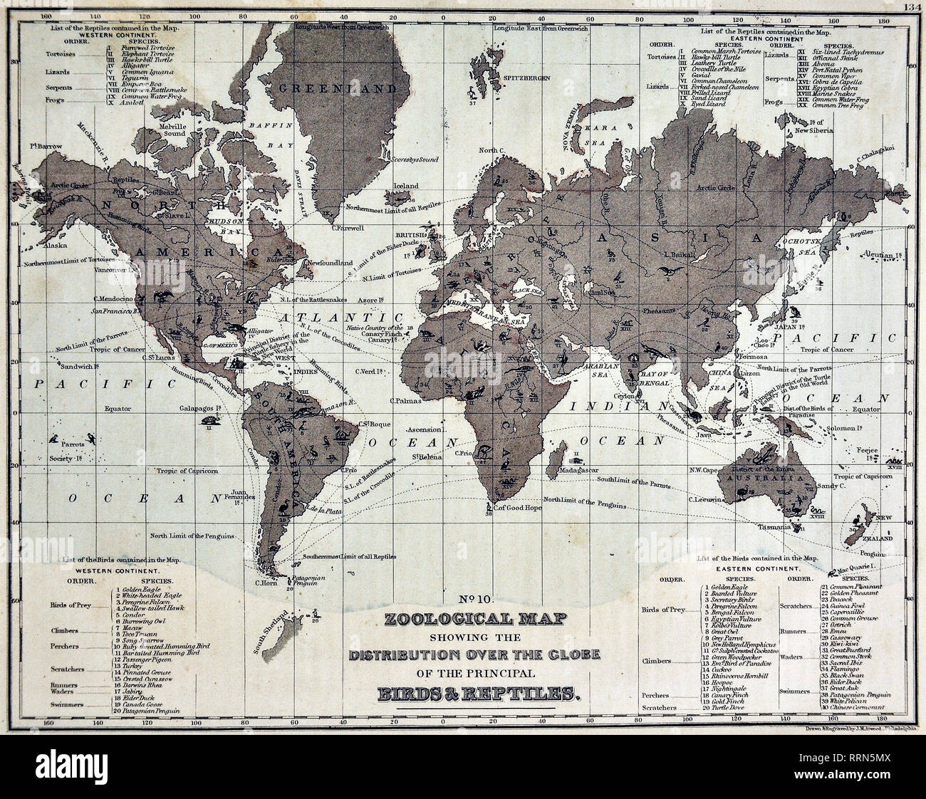 Map of europe with animals hi-res stock photography and images - Alamy
