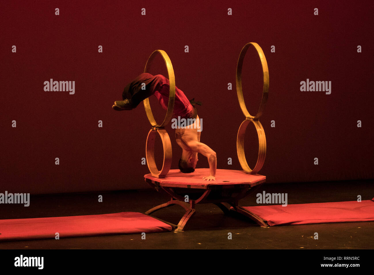 New shanghai circus hi-res stock photography and images - Alamy