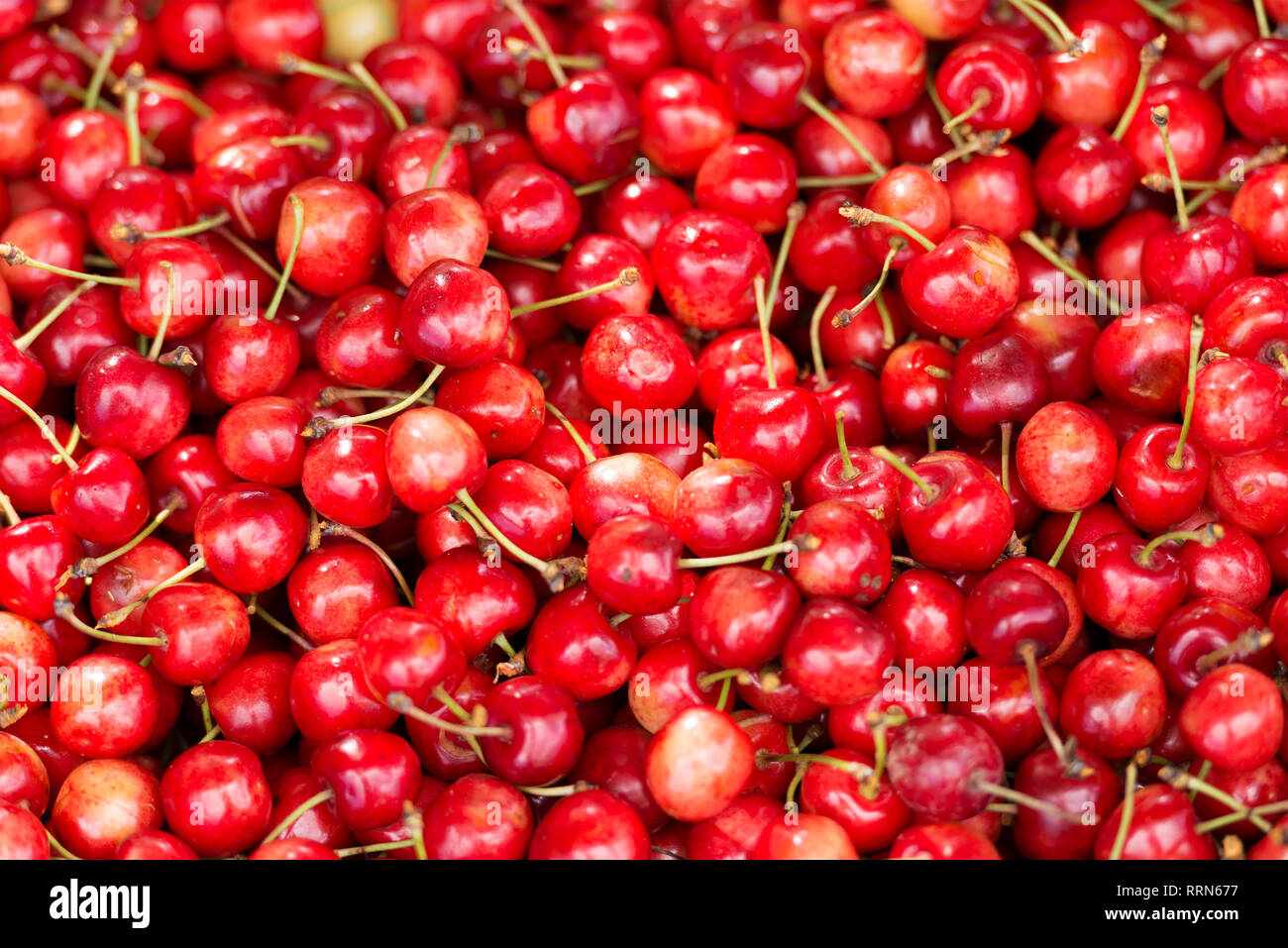 Red Cherrie background Stock Photo - Alamy