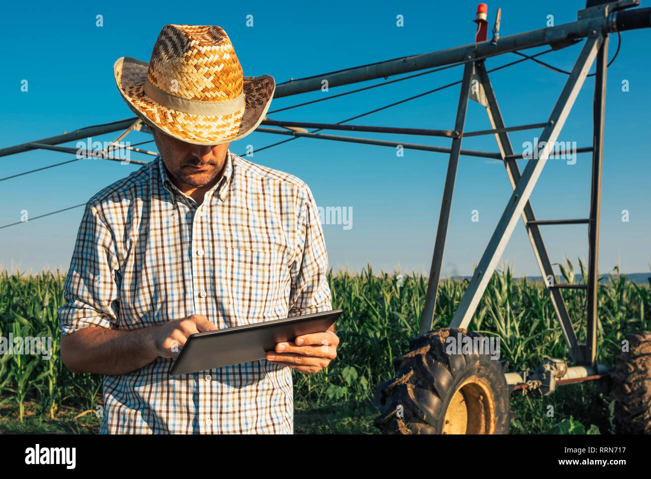 Serious computer hi-res stock photography and images - Alamy