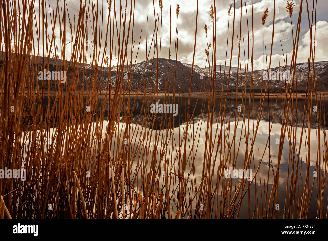 Cappadocia, the pomegranate(Narli) lake Stock Photo - Alamy