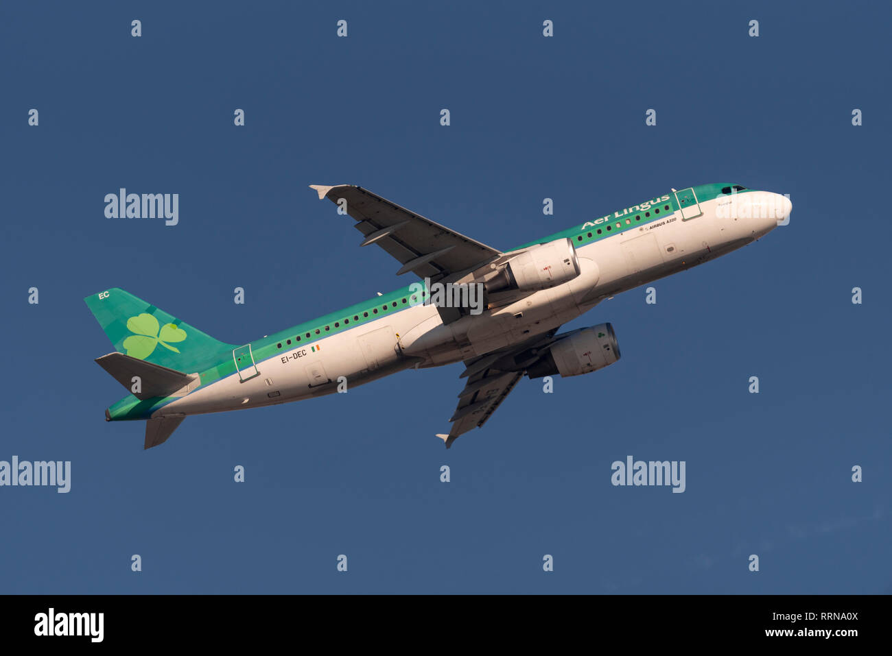 Shamrock Airbus A320 In Flight High Resolution Stock Photography and ...