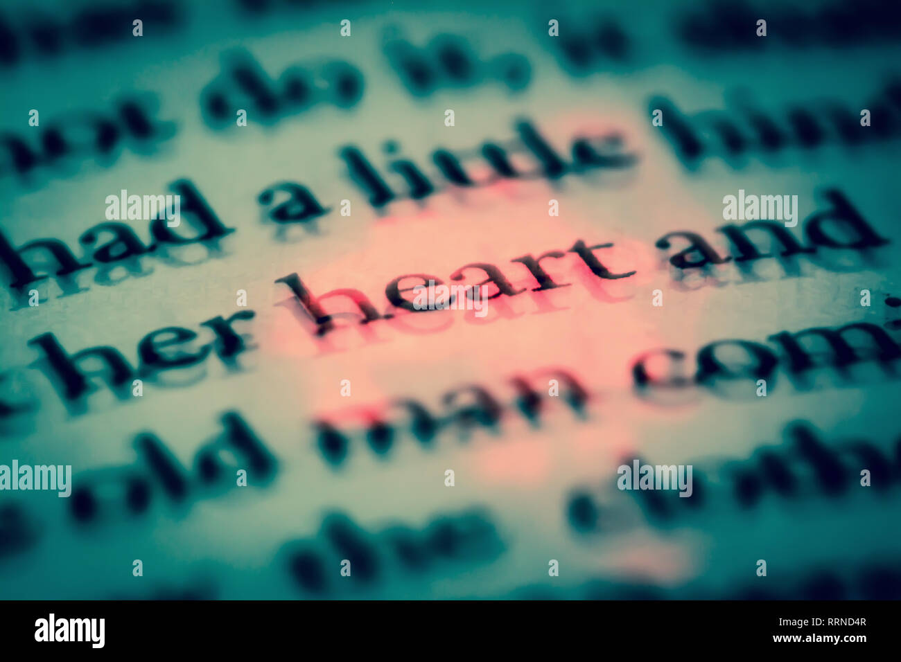The word heart in a book in English close up, macro, highlighted in red ...