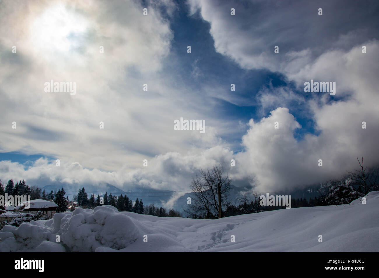 Winter forest, mountain landscape in the wintertime, snow-covered trees ...