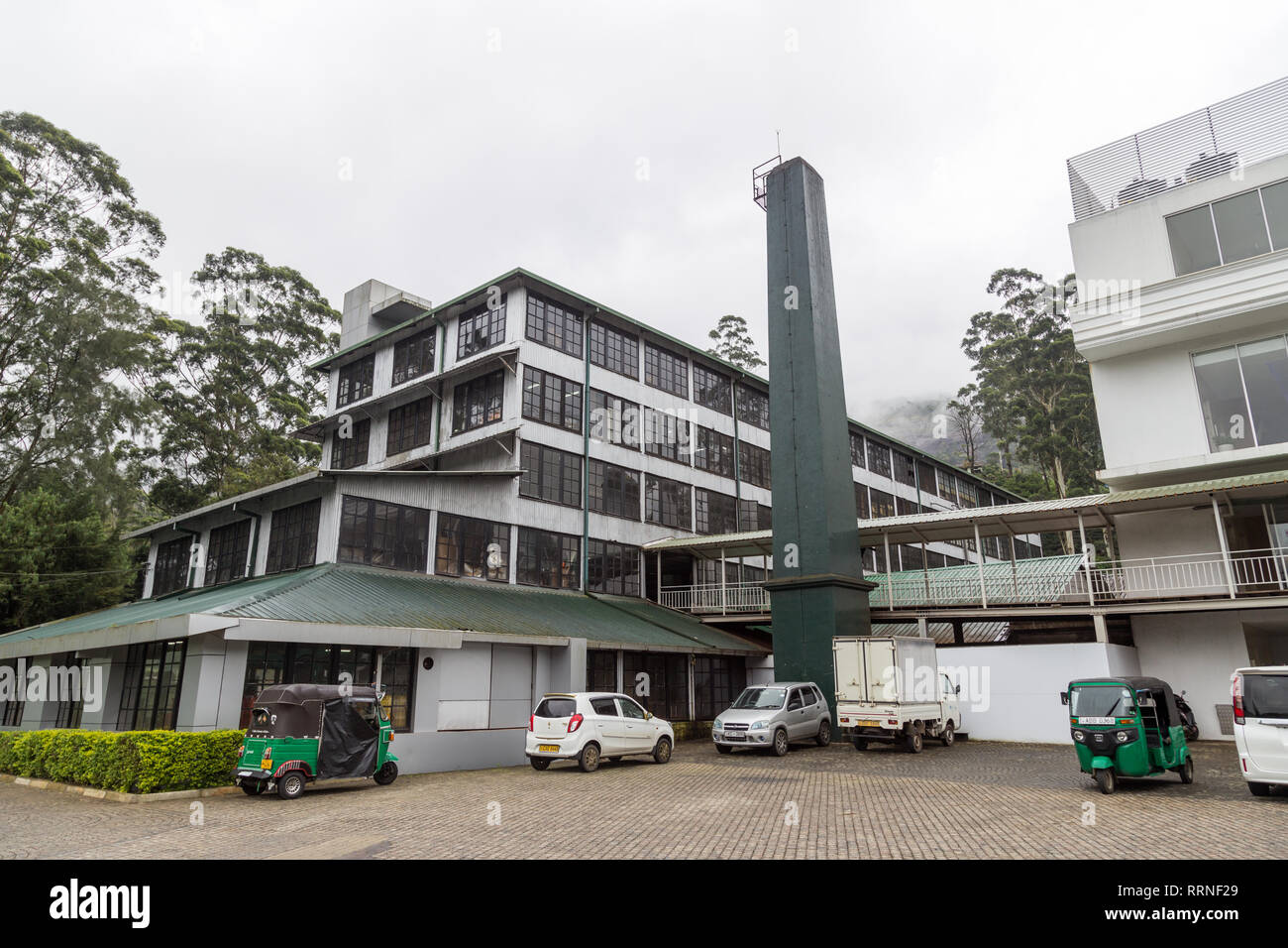 Damro Labookellie Tea Factory in Sri Lanka Stock Photo - Alamy