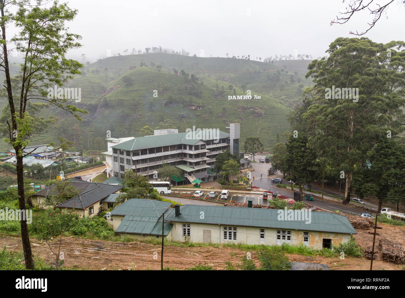 Damro tea estate hi-res stock photography and images - Alamy