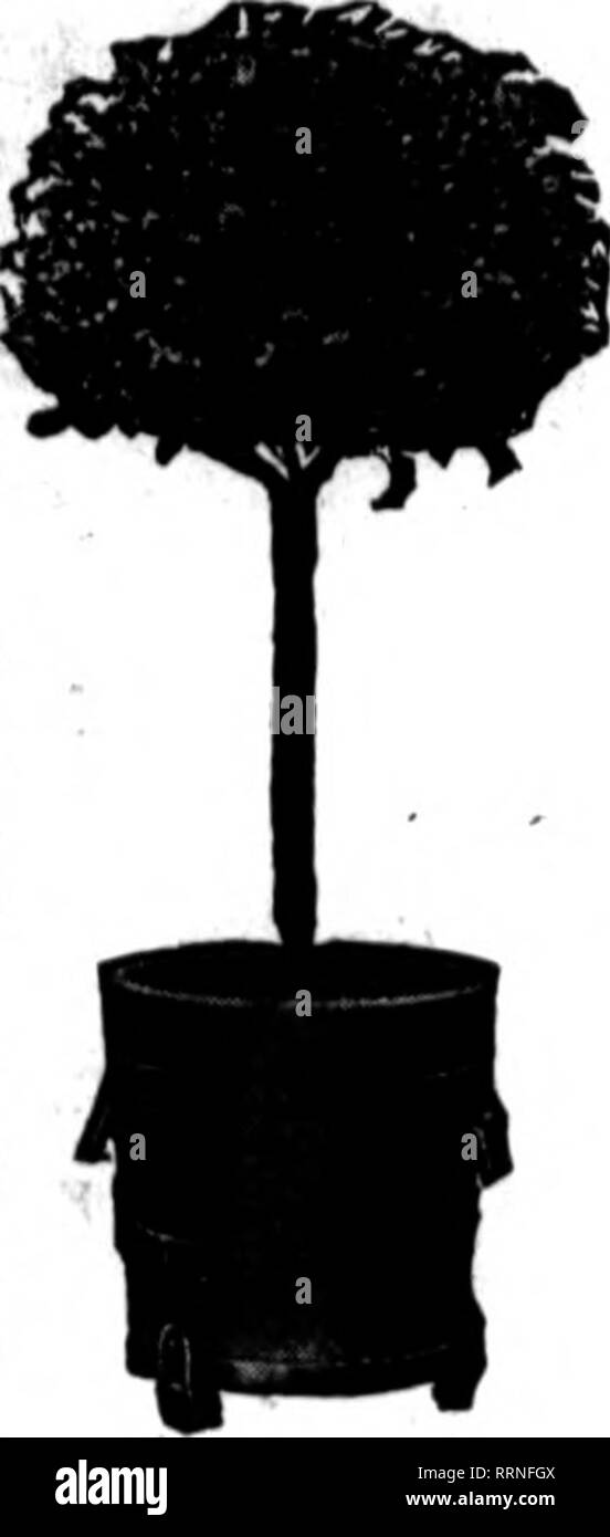 Porous pots Black and White Stock Photos & Images - Alamy