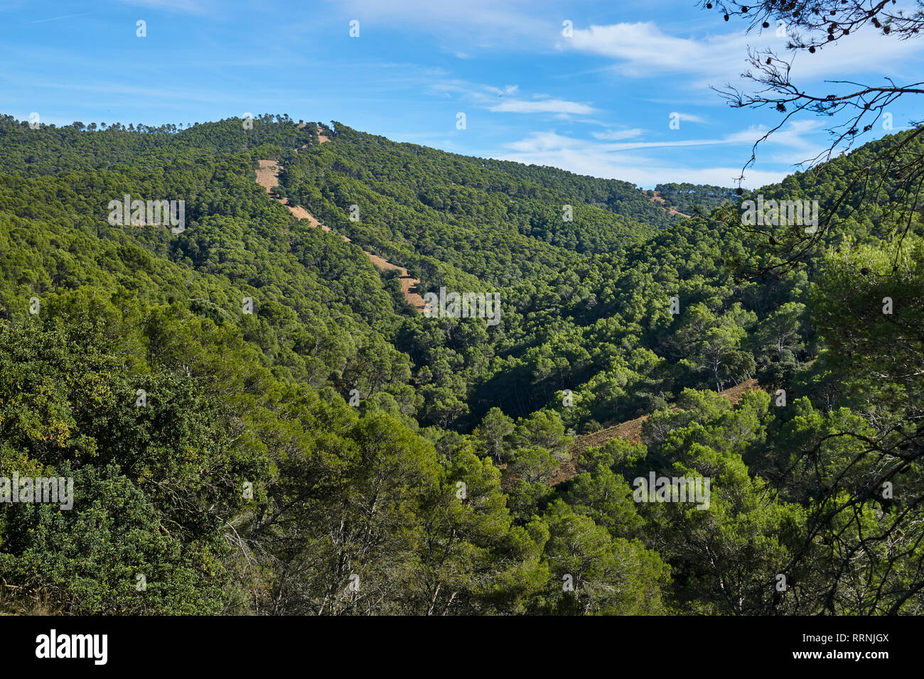 Malaga mounts hi-res stock photography and images - Alamy