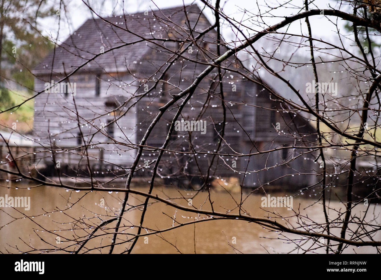 Yates mill pond hi-res stock photography and images - Alamy