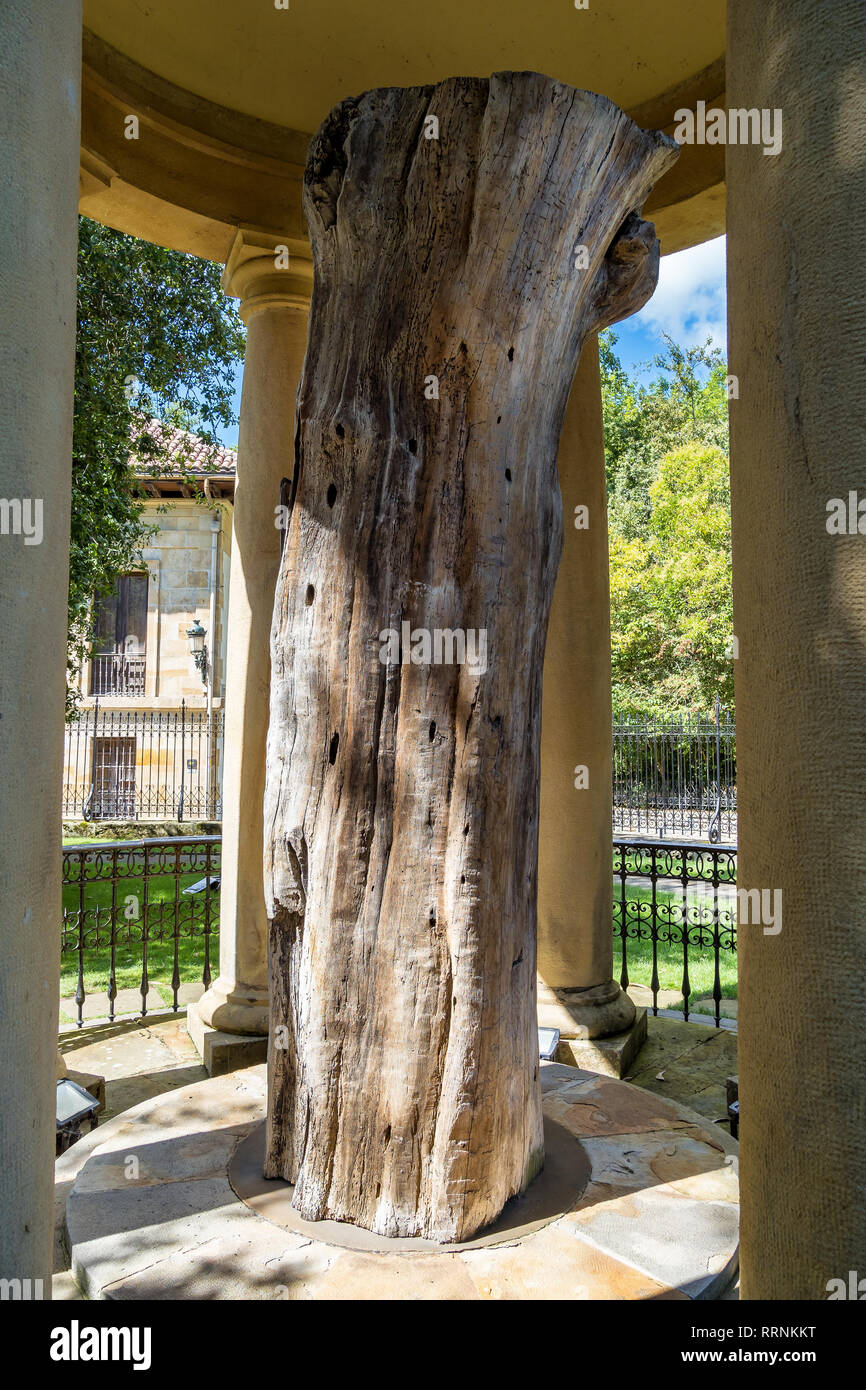 The old oak tree of Gernika - Guernica, Spain. It symbolizes ...