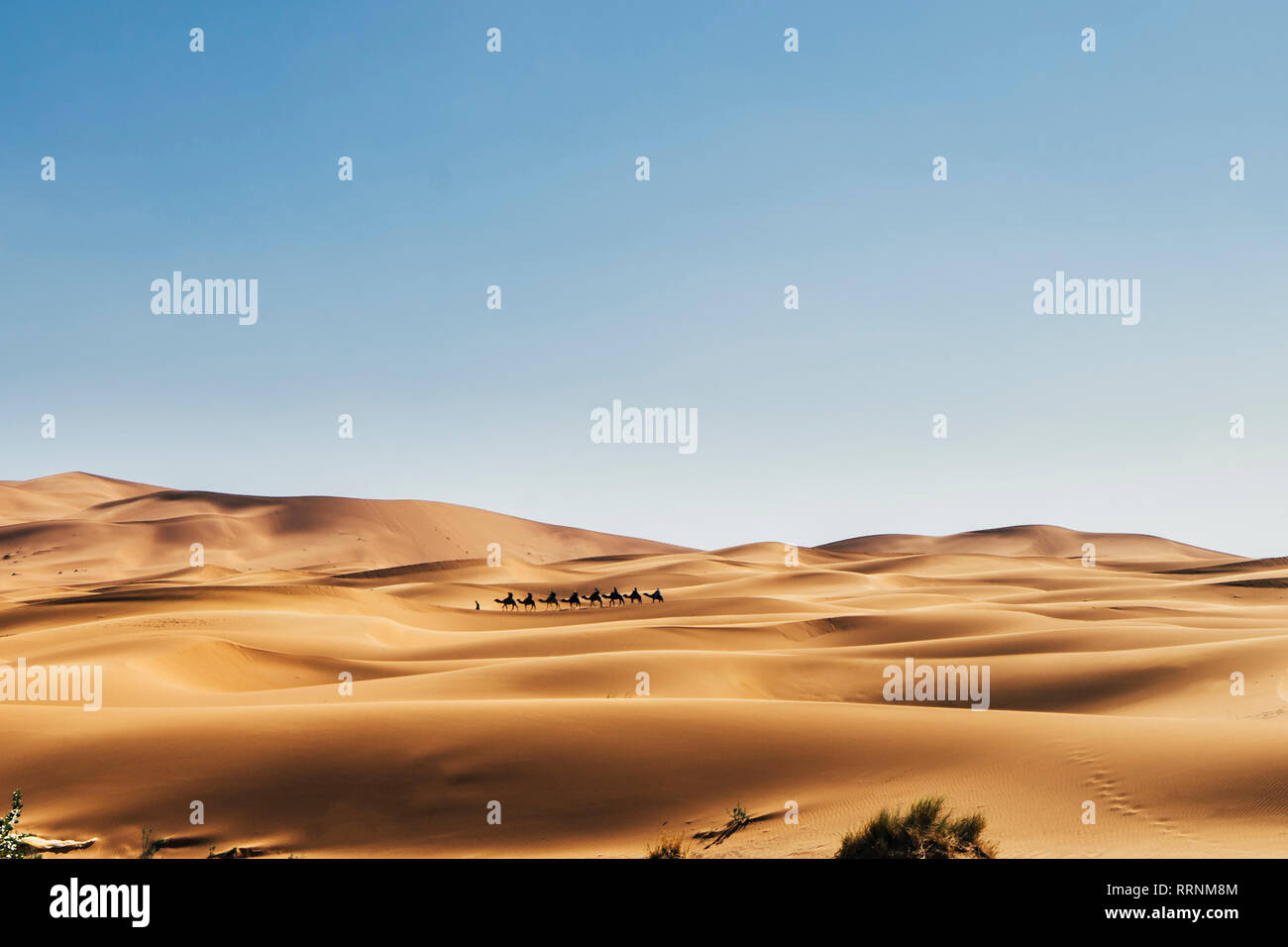 Sahara desert from space hi-res stock photography and images - Alamy