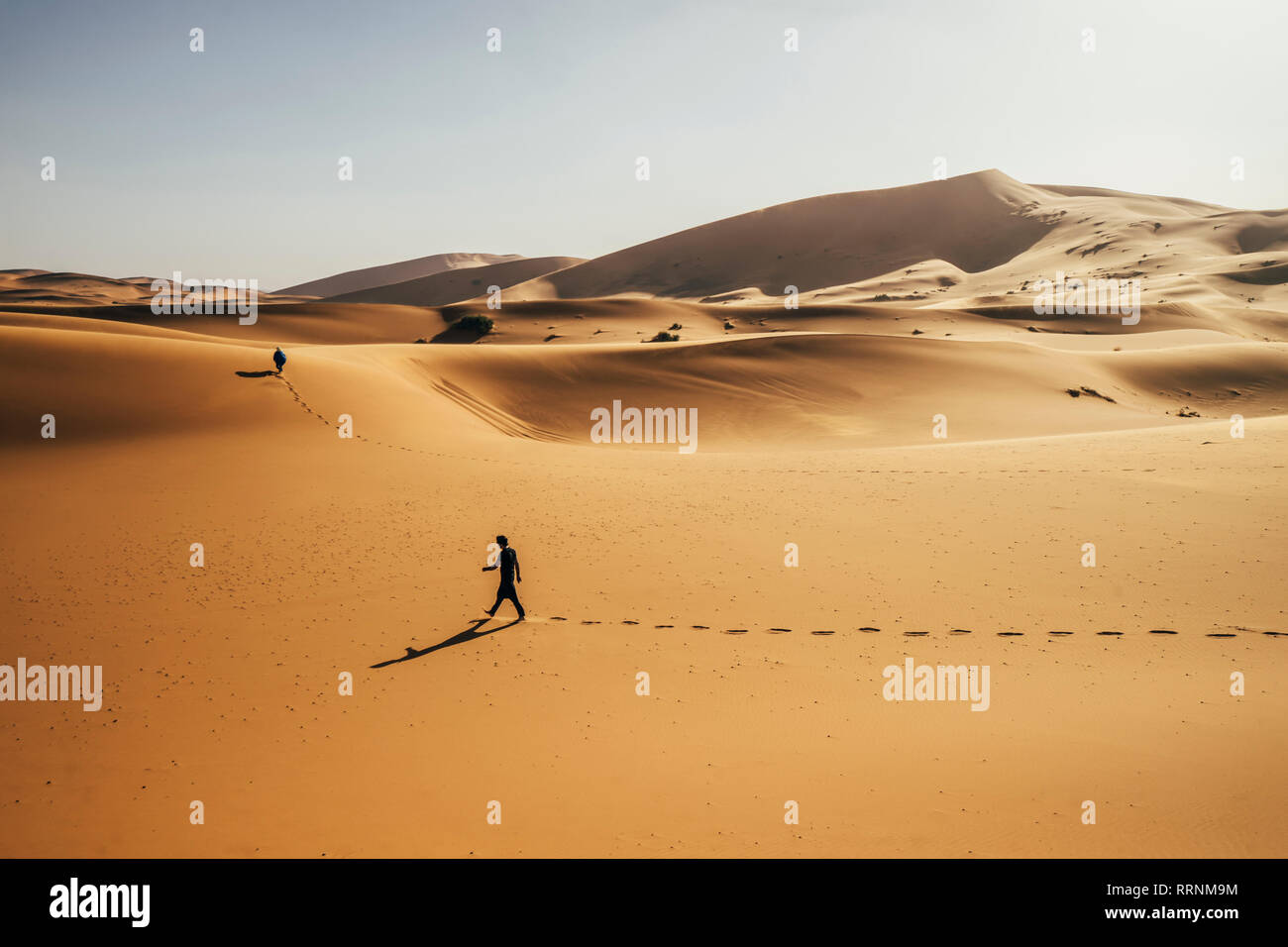 Man walking in sunny, sandy desert, Sahara, Morocco Stock Photo - Alamy