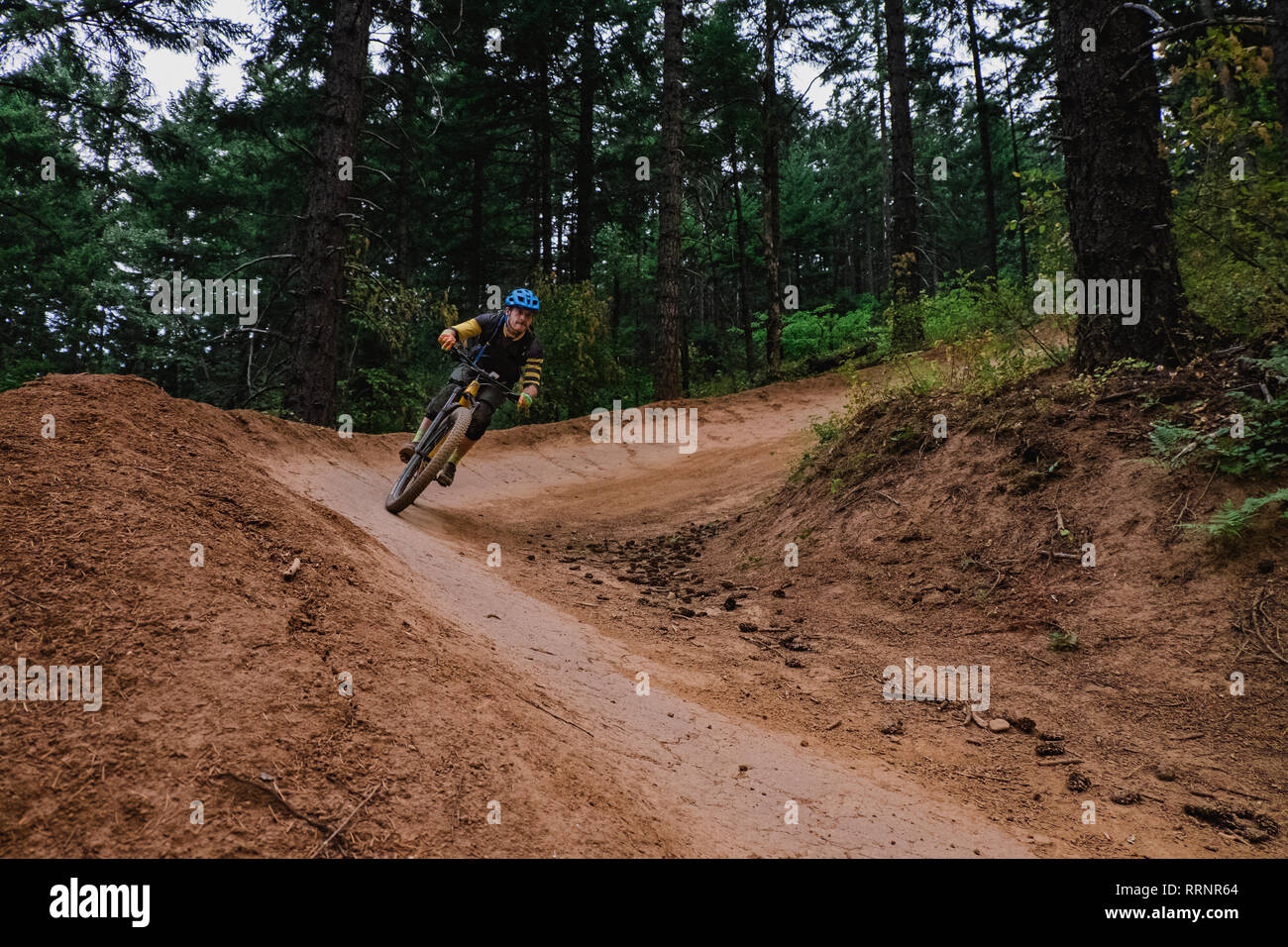 Man mountain biking on dirt trail in woods Stock Photo - Alamy