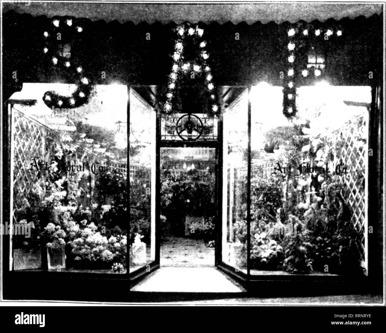 Five lari hi-res stock photography and images - Alamy