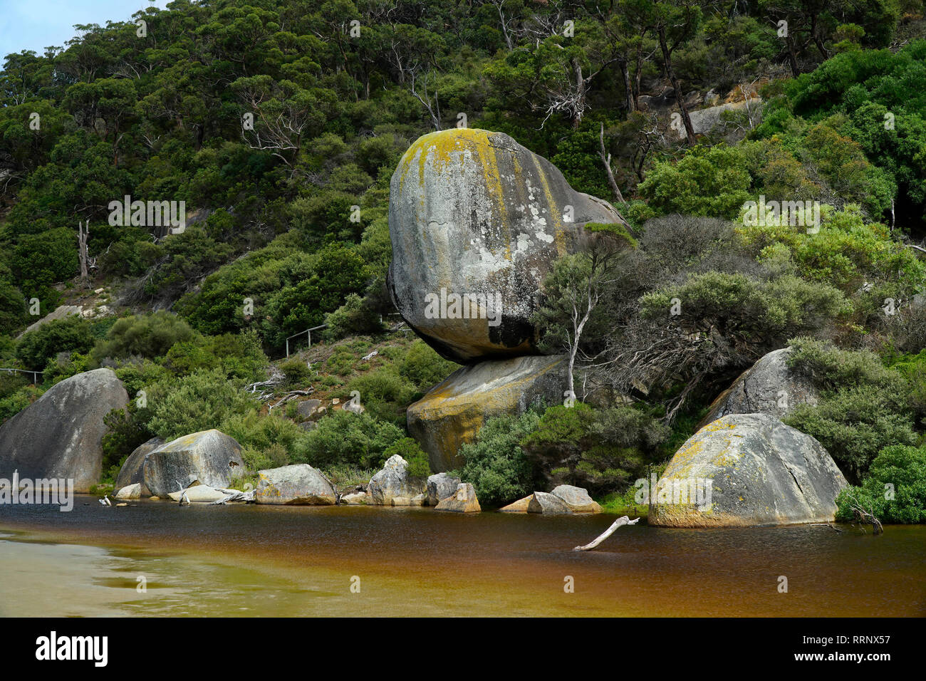 Wilsons Prom National Park in Victoria Australia this is the southern ...