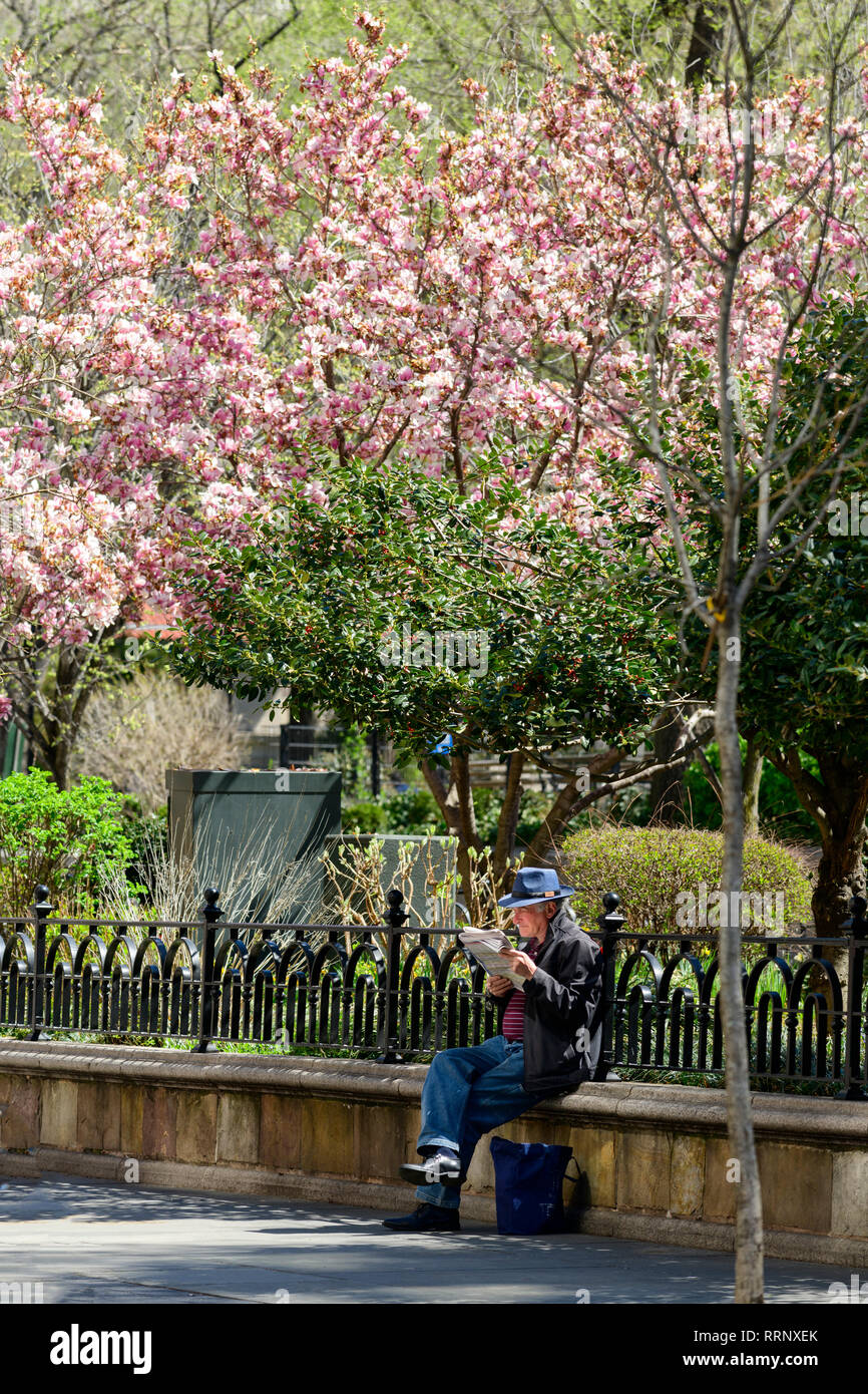 North America, America, USA, American, New York, Manhattan, Union ...