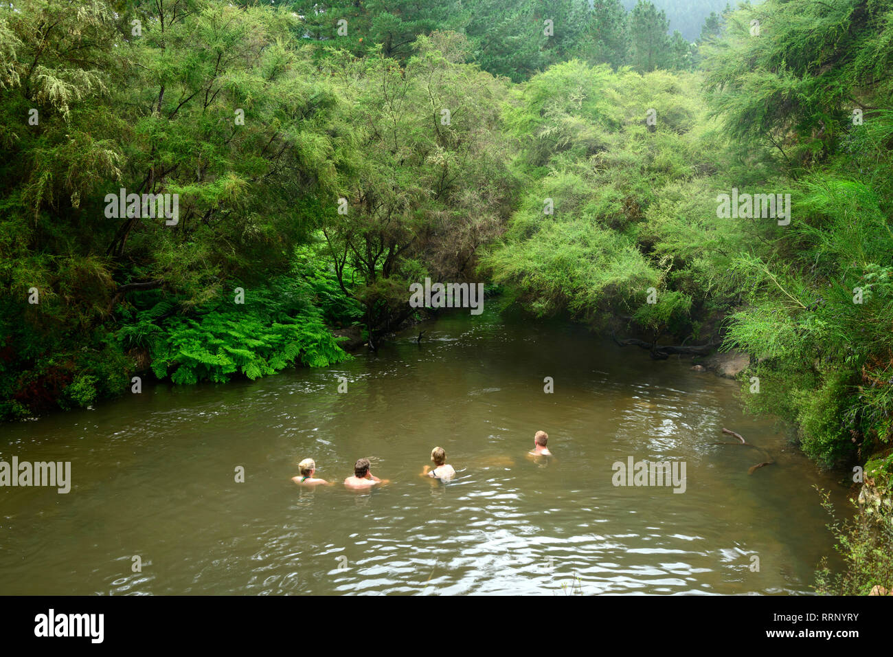 Oceania, New Zealand, Aotearoa, North Island, Taupo, people in natural ...