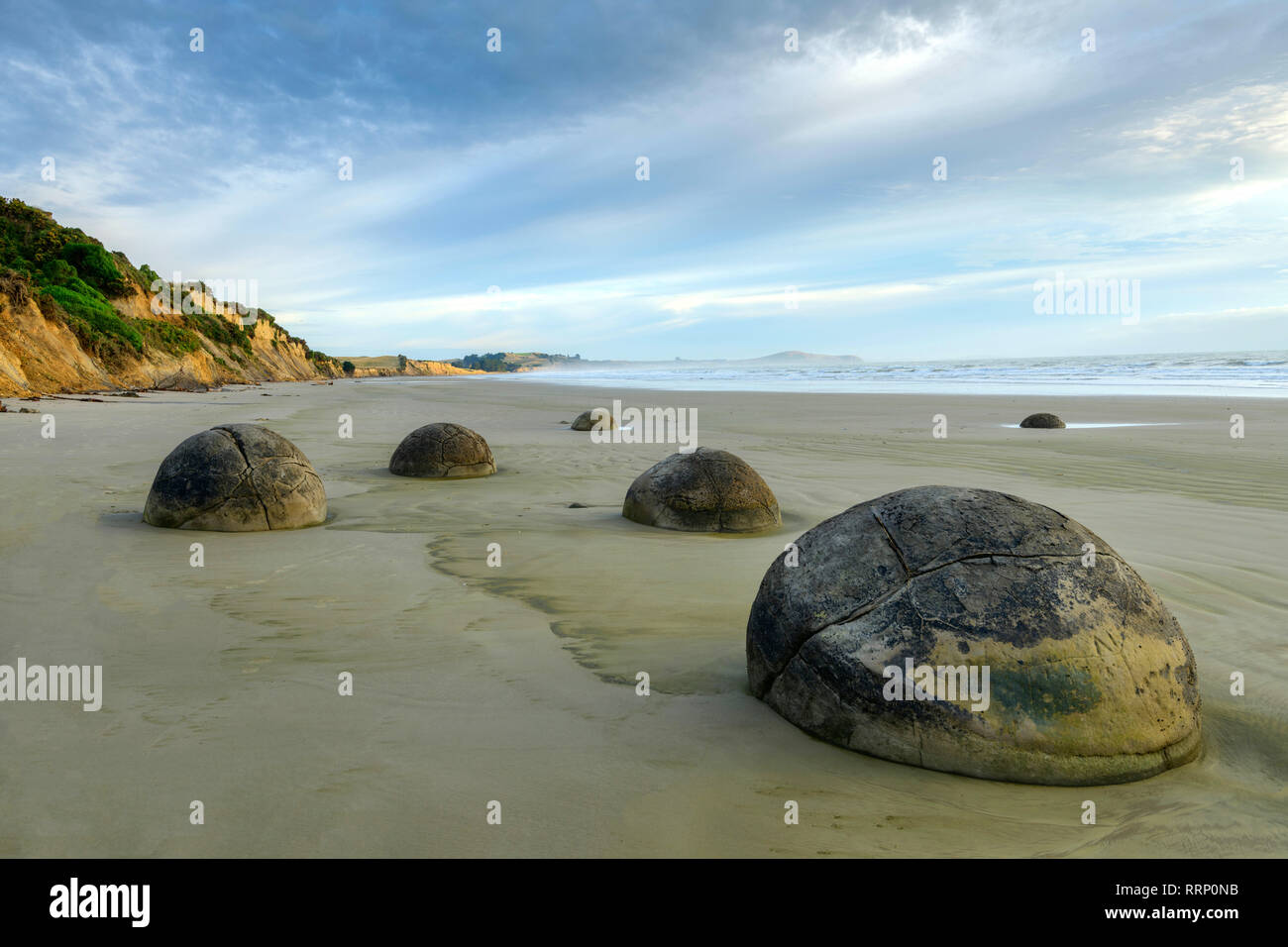 Oceania, New Zealand, Aotearoa, South Island, Otago Coast, Moreaki ...