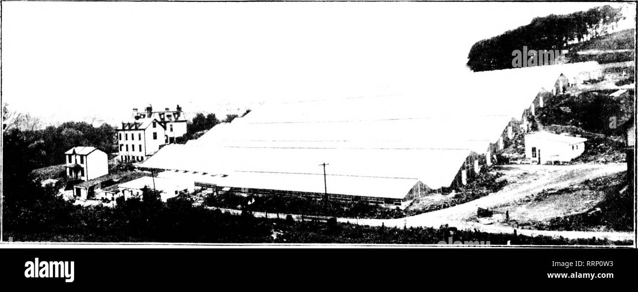 Shannon mill hi-res stock photography and images - Alamy