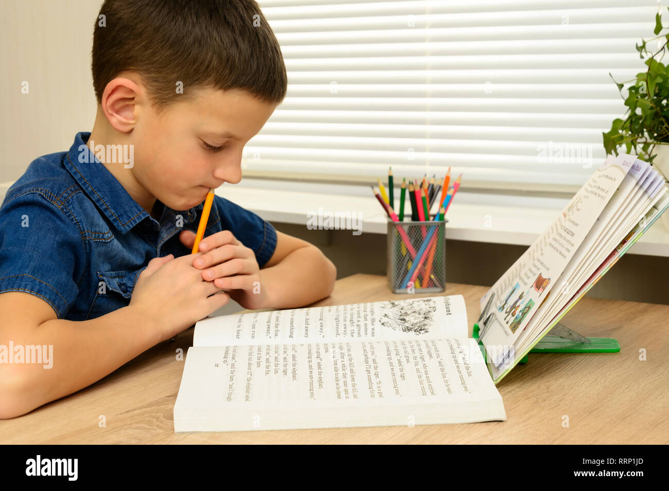 concentrated little boy reading book while doing homework alone Stock ...