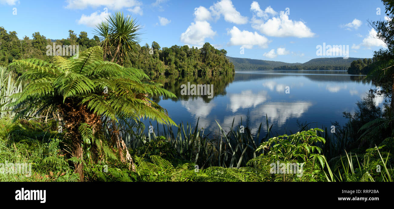 Oceania, New Zealand, Aotearoa, South Island, West Coast, Lake Paringa ...