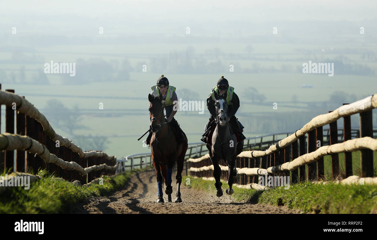 Horses from Paul Nicholls stable on the gallops during the visit to ...