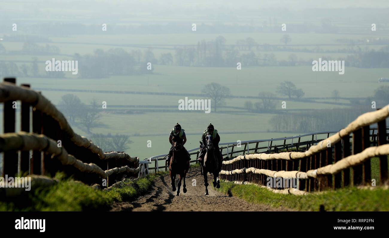 Horses from Paul Nicholls stable on the gallops during the visit to ...