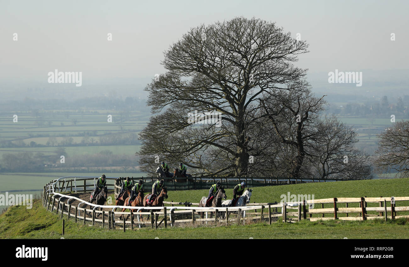 Horses from Paul Nicholls stable on the gallops during the visit to ...