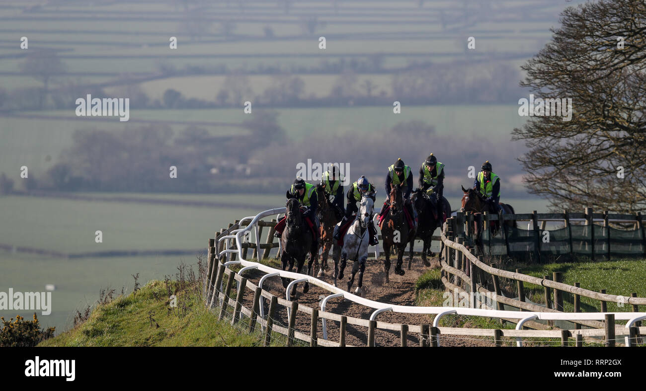 Horses from Paul Nicholls stable on the gallops during the visit to ...