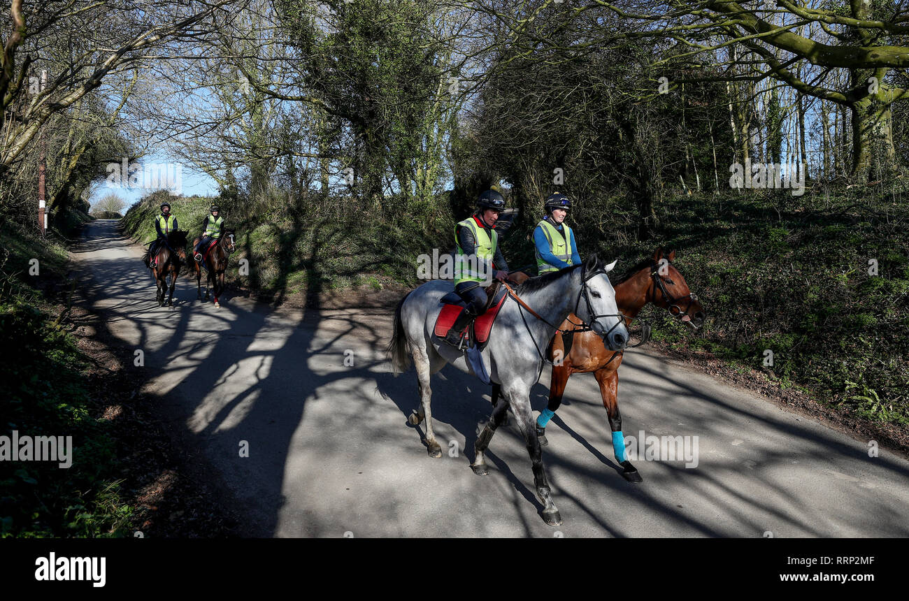 Horses from Paul Nicholls stable return from the gallops during the ...