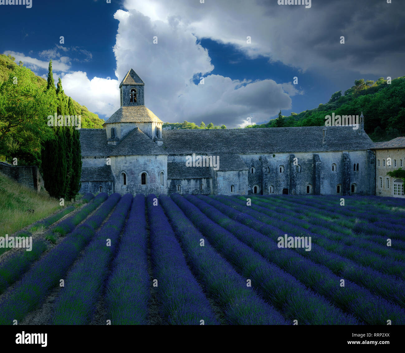 Europe, France, Provence, Vaucluse, Sénanque Abbey Stock Photo - Alamy