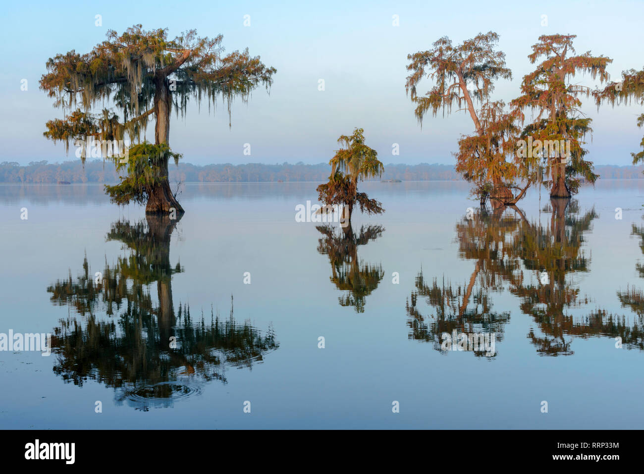 Jefferson parish hi-res stock photography and images - Alamy