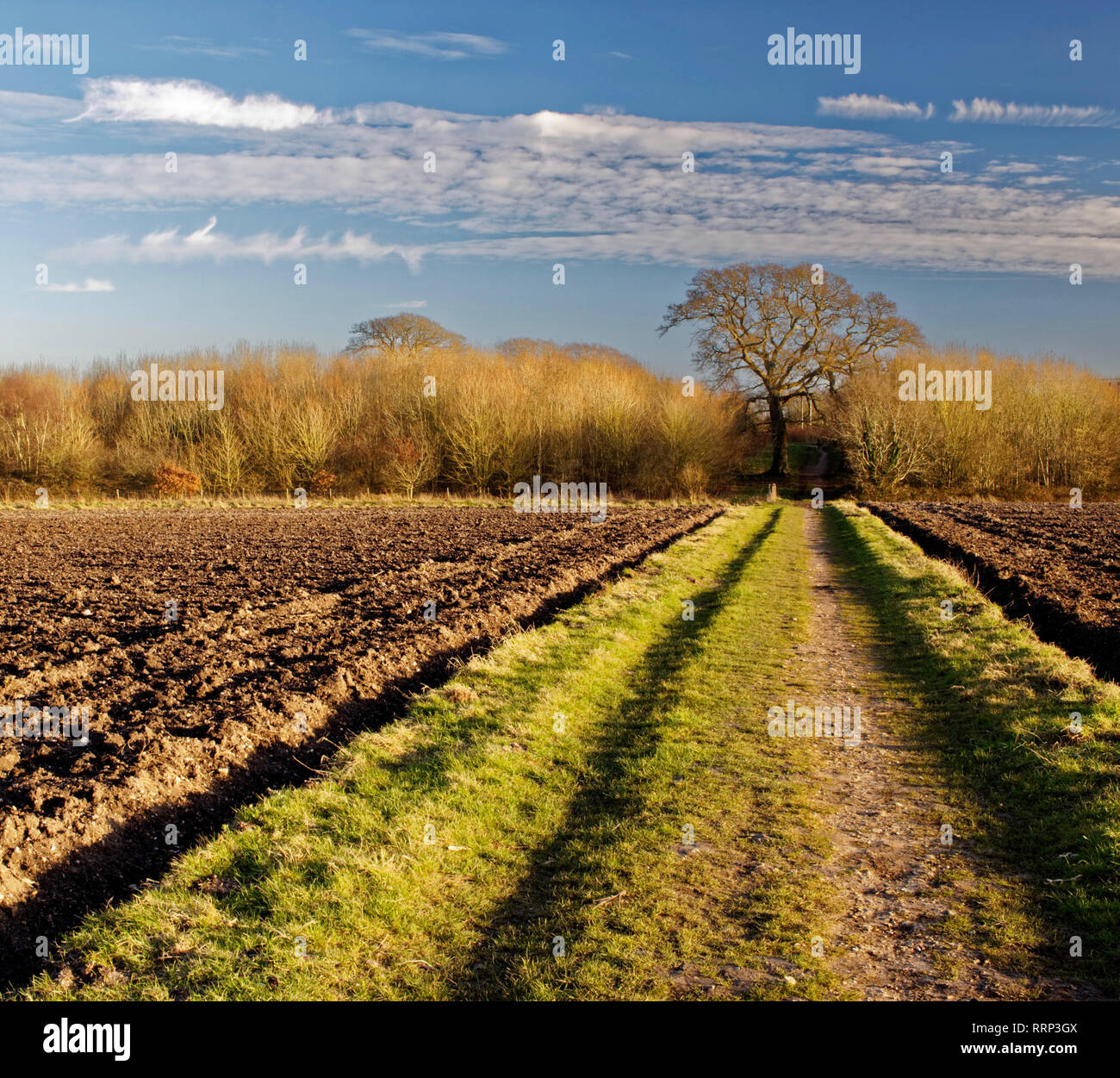 Down on the farm hi-res stock photography and images - Alamy