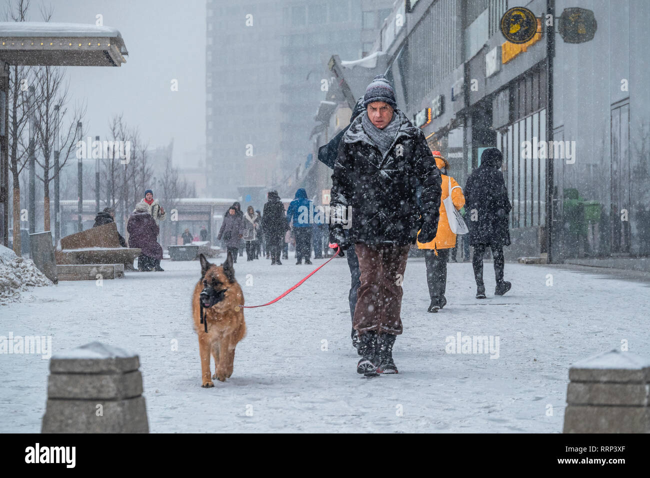 Heavy snowfall in Moscow, Russia Stock Photo - Alamy
