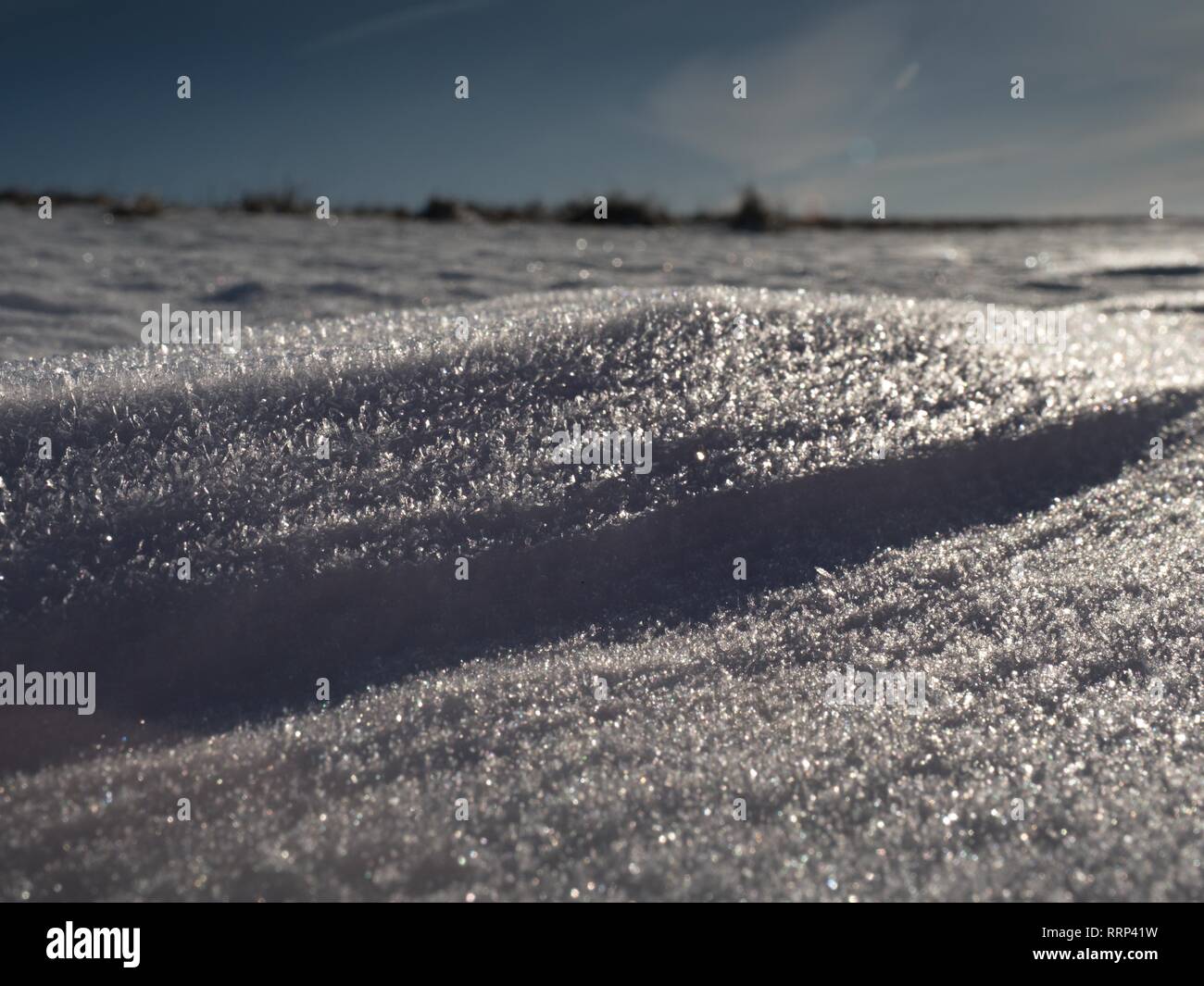 Sunny winter background. The snow shines in the sun. Frost. Winter ...