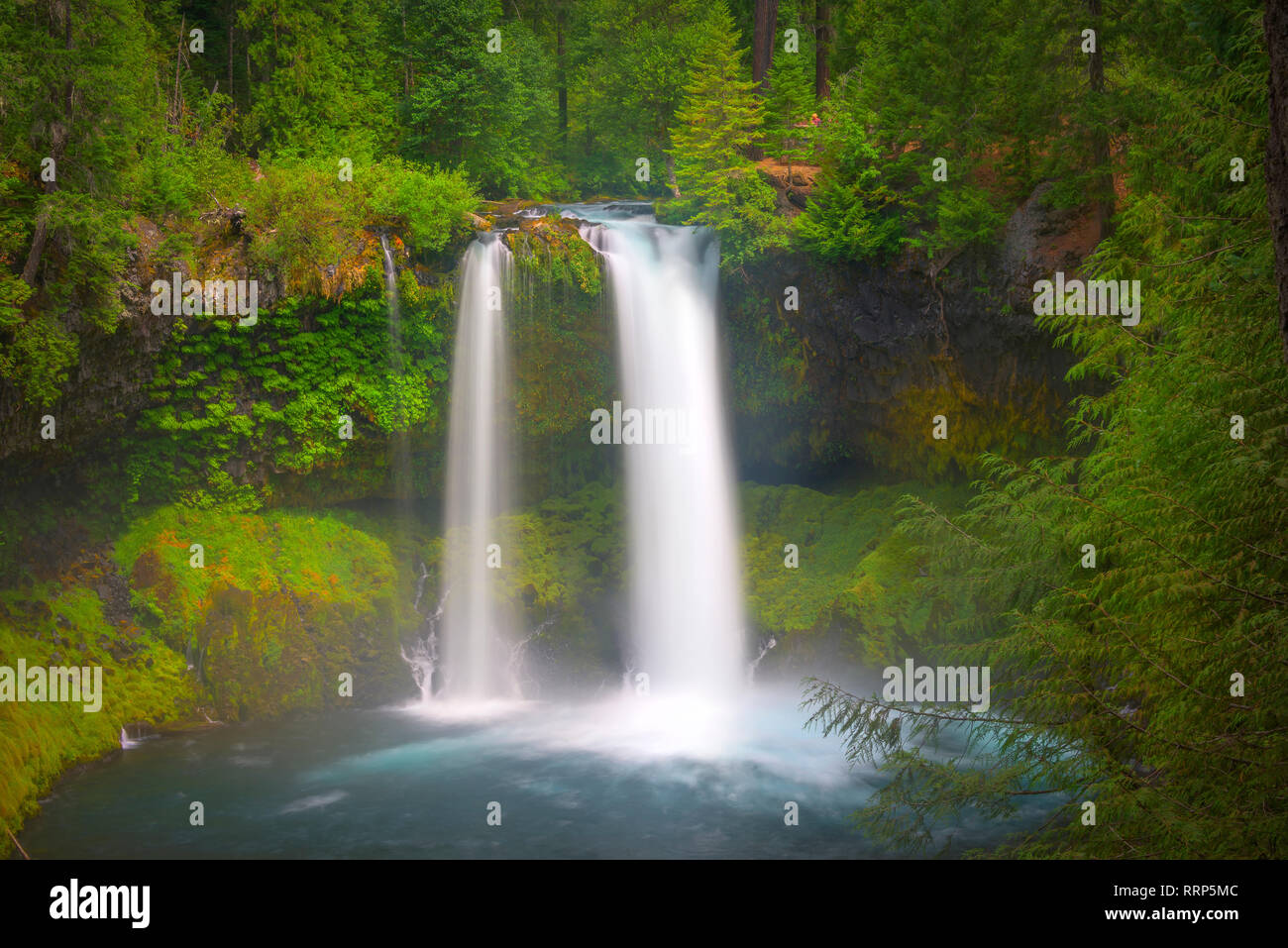 Mckenzie santiam pass scenic byway hi-res stock photography and images ...