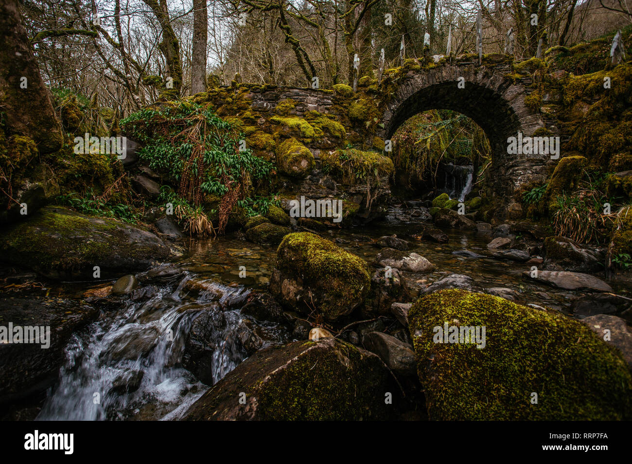 Old stone bridge Fairy Bridge in woodland, Scotland Stock Photo - Alamy