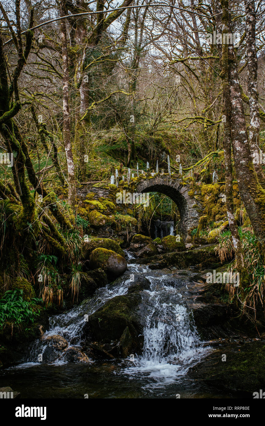 Old stone bridge Fairy Bridge in woodland, Scotland Stock Photo - Alamy
