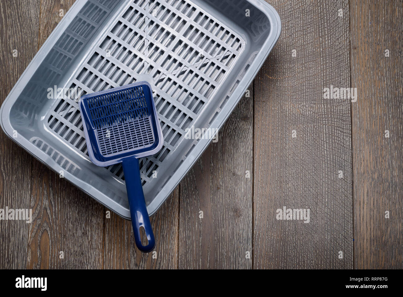 Clean cat litter box hi-res stock photography and images - Alamy