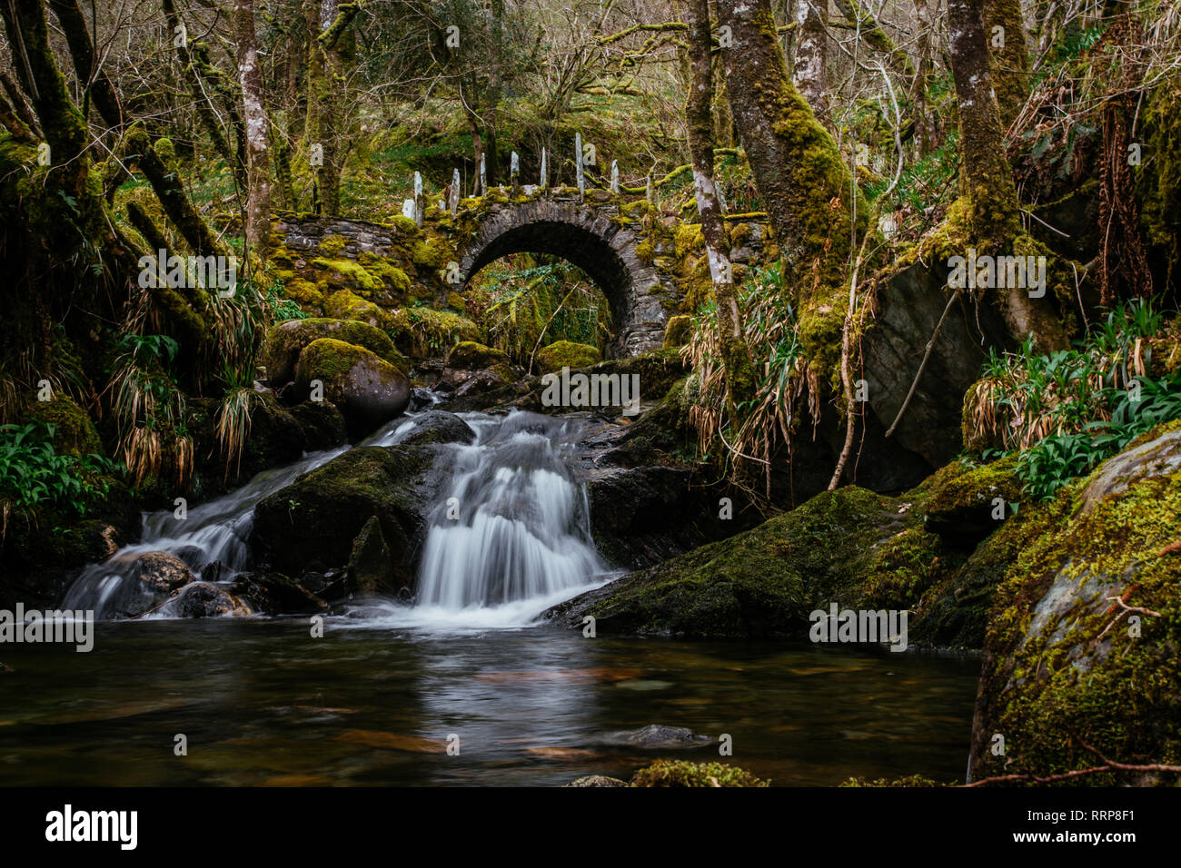 Old stone bridge Fairy Bridge in woodland, Scotland Stock Photo - Alamy