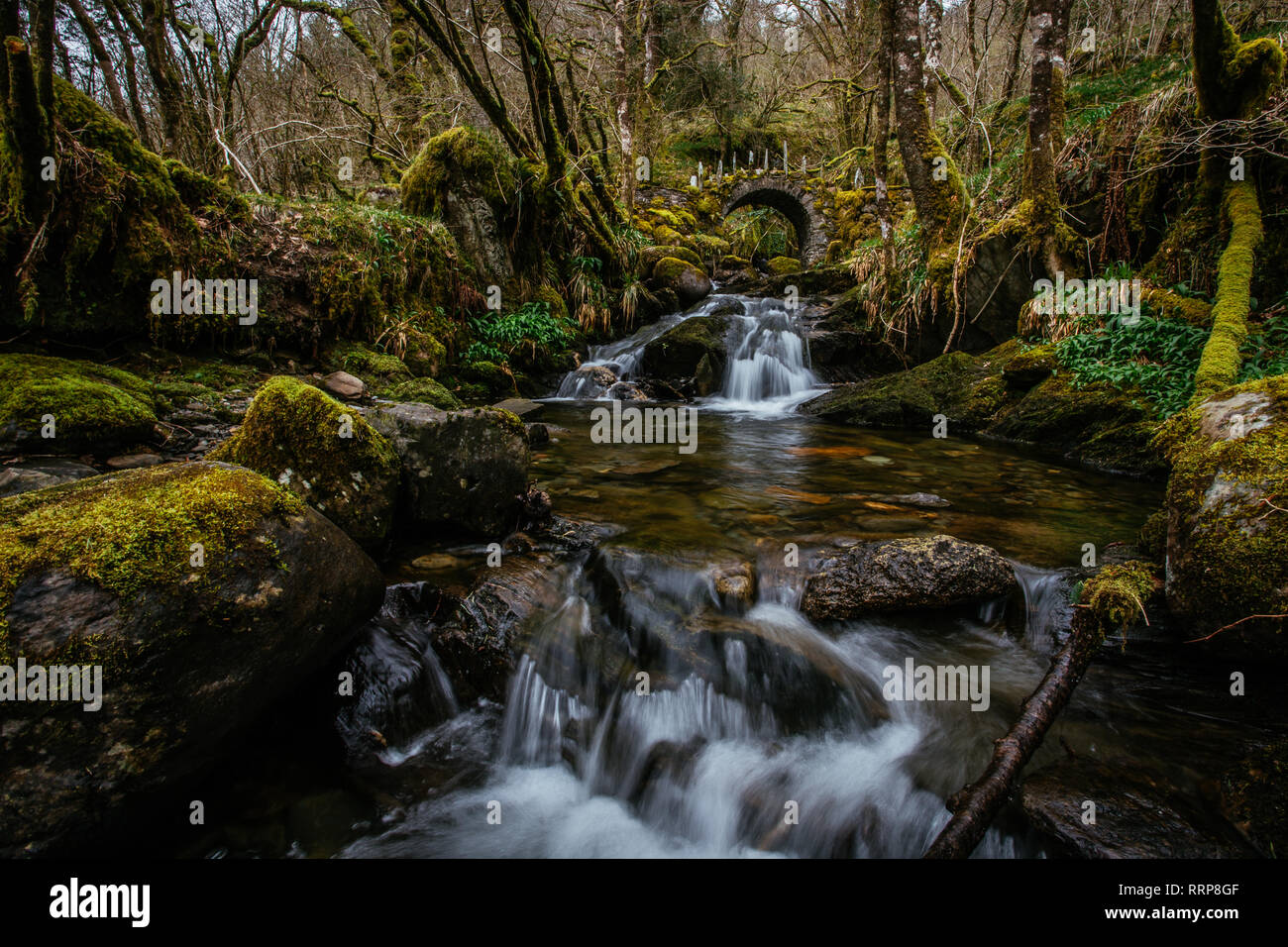Old stone bridge Fairy Bridge in woodland, Scotland Stock Photo - Alamy