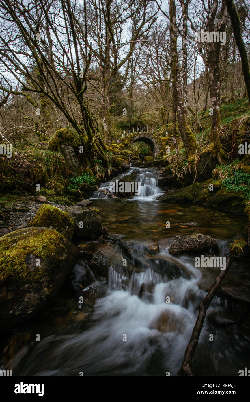 Old stone bridge Fairy Bridge in woodland, Scotland Stock Photo - Alamy