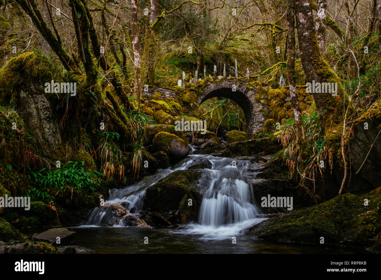 Magical fairy bridge at glen creran hi-res stock photography and images ...