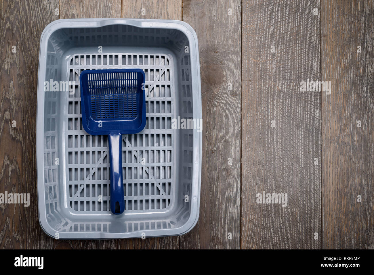 Clean cat litter box hi-res stock photography and images - Alamy