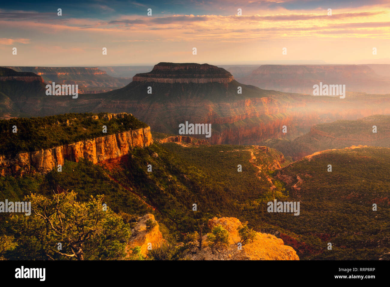 Locust point hi-res stock photography and images - Alamy