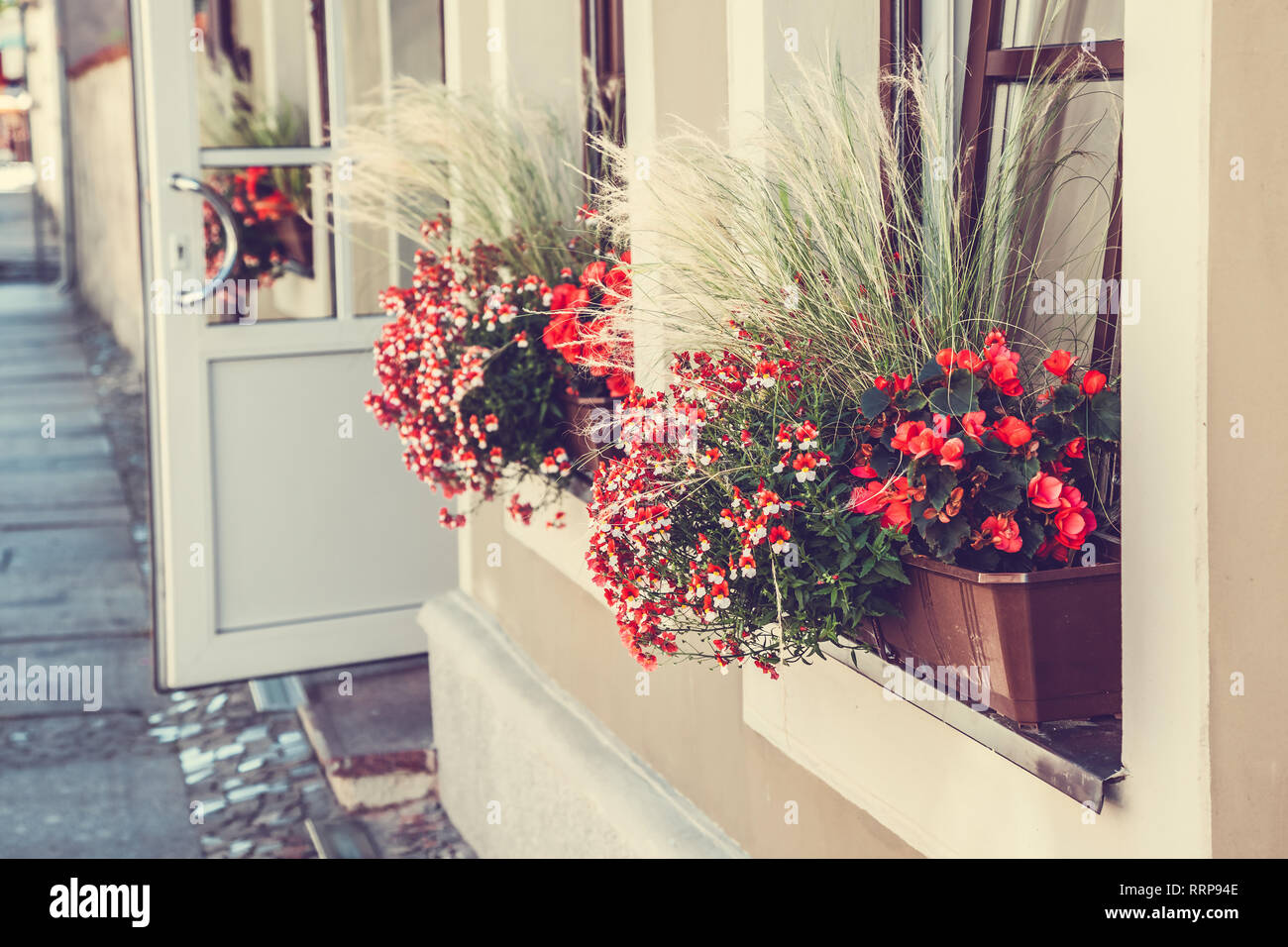 Stylized window frame hi-res stock photography and images - Alamy