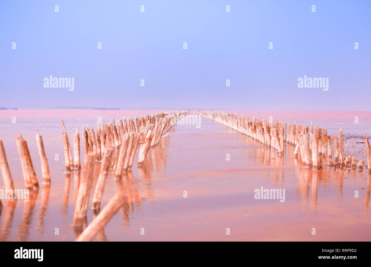 Salt chrystallized pink coral lake stairs in the summer heat. Color of ...