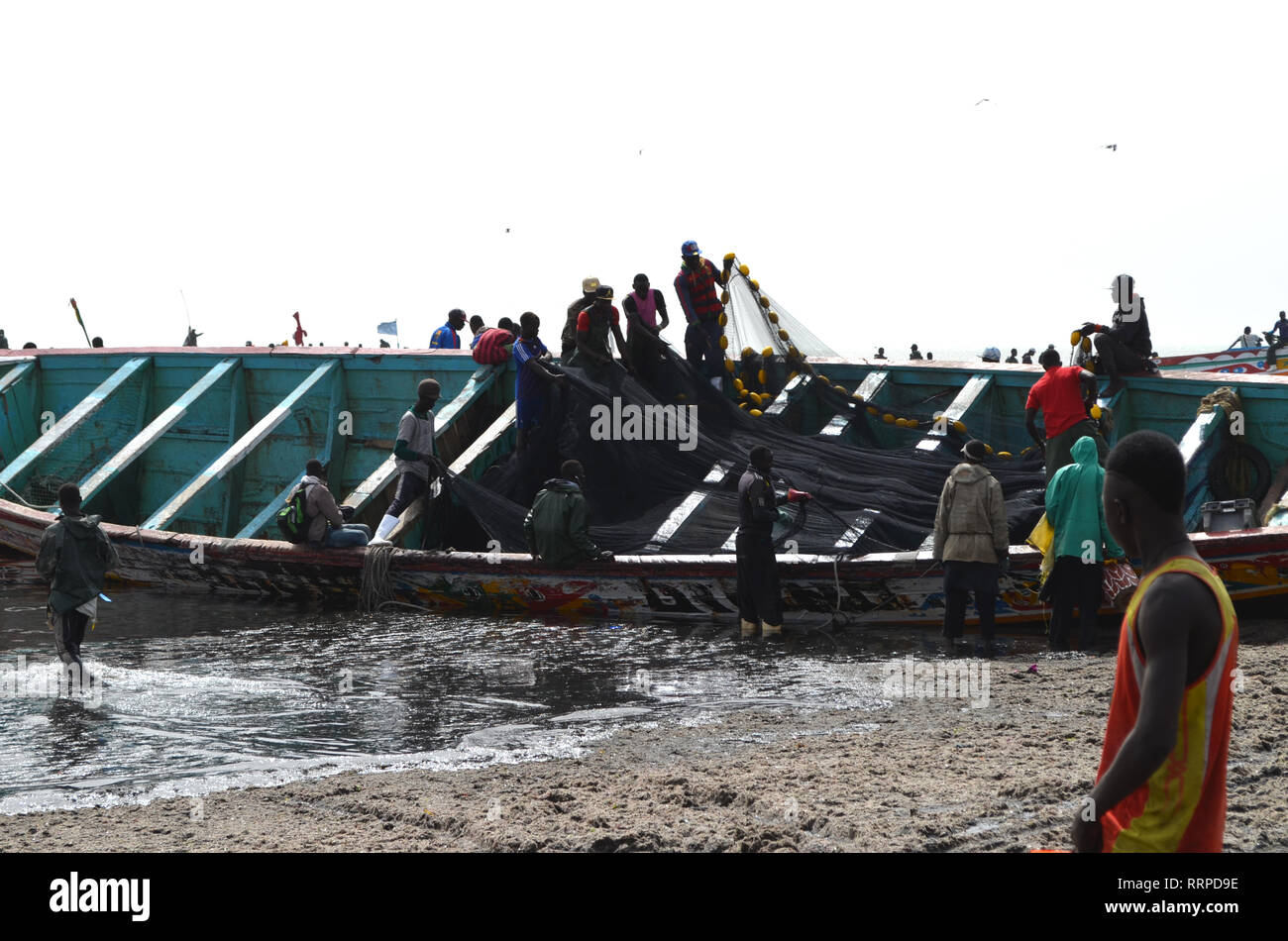 Risk of overfishing hi-res stock photography and images - Alamy